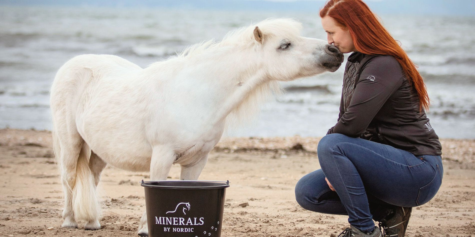 Expert tips: Getting started with clicker training